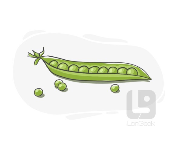 Definition & Meaning of "Pea pod" | LanGeek