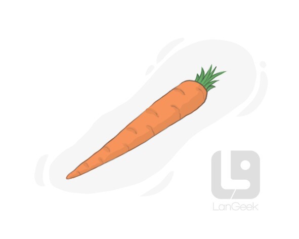 Carrot Definition & Meaning | LanGeek