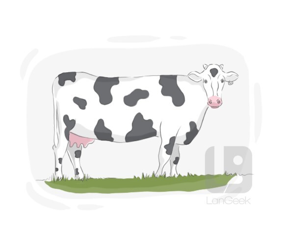 Cow Definition & Meaning | LanGeek