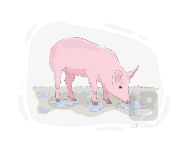 Definition & Meaning of "Hog" | LanGeek