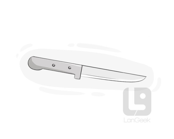 Definition & Meaning of "Parer" | LanGeek