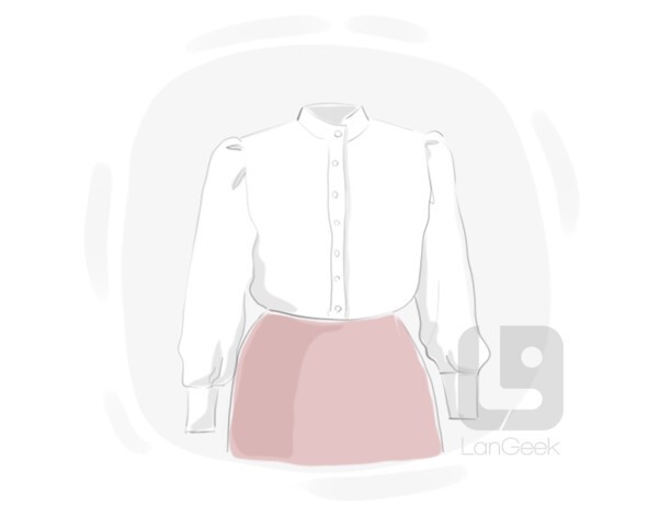 Blouse Definition & Meaning | LanGeek