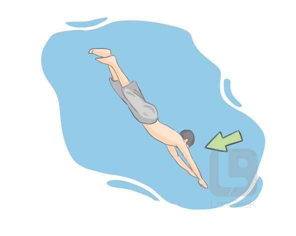 Definition & Meaning of "Diver" | LanGeek