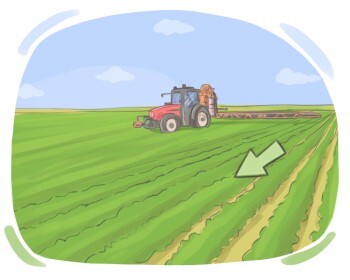 English Words for "Farming" | B1 Vocabulary | LanGeek