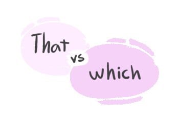 "That" vs. "Which" in the English Grammar | LanGeek