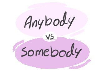 "Anybody" vs. "Somebody" in the English Grammar | LanGeek