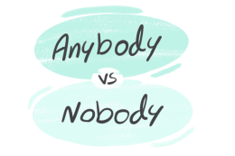 "Anybody" vs. "Everybody" in the English Grammar | LanGeek
