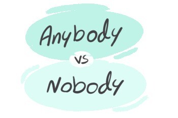 "Anybody" vs. "Nobody" in the English Grammar | LanGeek