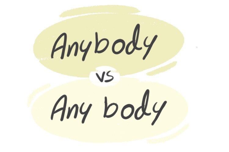 "Anybody" vs. "Any Body" in the English Grammar | LanGeek