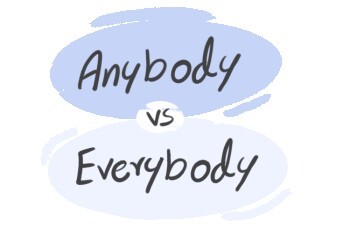 "Anybody" vs. "Everybody" in the English Grammar | LanGeek