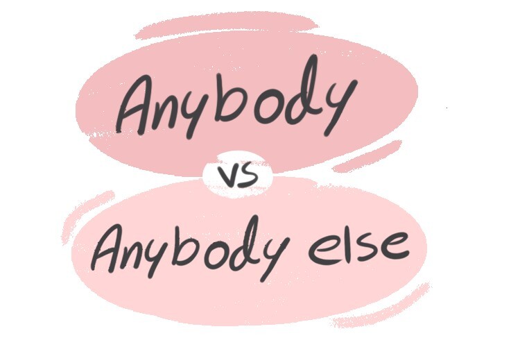 "Anybody" vs. "Anybody Else" in the English Grammar | LanGeek