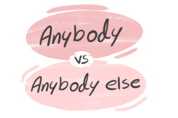 "Anybody" vs. "Everybody" in the English Grammar | LanGeek