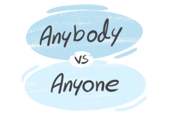 "Anybody" vs. "Everybody" in the English Grammar | LanGeek