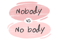"Nobody" vs. "Nobodies" in the English Grammar | LanGeek