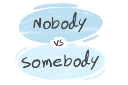 "Nobody" vs. "Nobodies" in the English Grammar | LanGeek