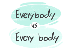 "Everyone" vs. "Every One" in English Grammar | LanGeek