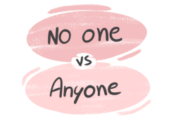 "Everybody" vs. "Everybodies" in English Grammar | LanGeek