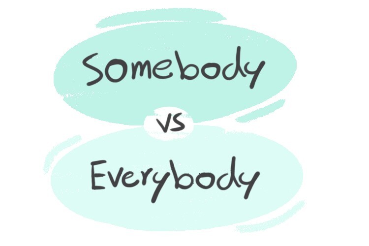 "Somebody" vs. "Everybody" in English Grammar | LanGeek