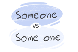 "Anything" vs. "Everything" in English Grammar | LanGeek