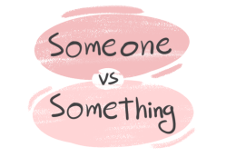 "Anything" vs. "Everything" in English Grammar | LanGeek