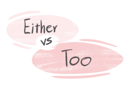 "Either" vs. "Whether" in the English Grammar | LanGeek
