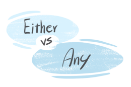 "Neither" vs. "None" in the English Grammar | LanGeek