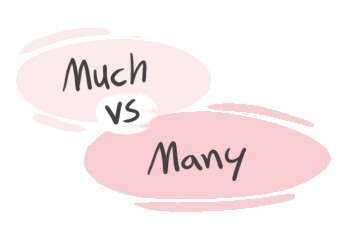 "Much" vs. "Many" in the English Grammar | LanGeek