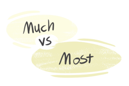 "Much" vs. "More" in the English Grammar | LanGeek