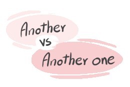"Another" vs. "One More" in the English Grammar | LanGeek