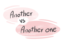 "Other" vs. "Others" in the English Grammar | LanGeek