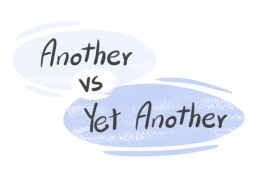 "Another" vs. "Any Other" in the English Grammar | LanGeek