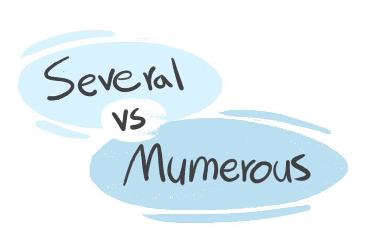  Several Vs Numerous In The English Grammar LanGeek