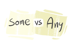 "Some" vs. "Many" in the English Grammar | LanGeek