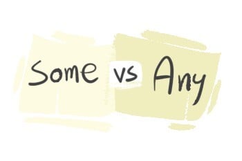 "Some" vs. "Any" in the English Grammar | LanGeek