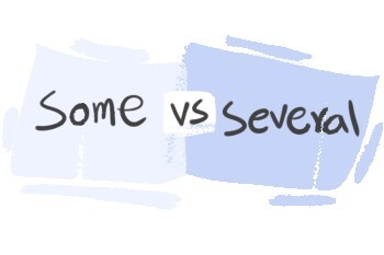 "Some" vs. "Several" in the English Grammar | LanGeek