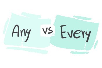 "Any" vs. "Every" in the English Grammar | LanGeek