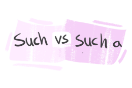 "Such" vs. "So Much" in the English Grammar | LanGeek