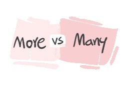 "More" vs. "Many" in English Grammar | LanGeek