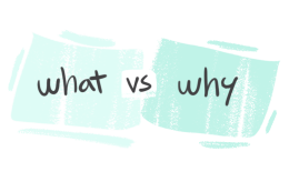 "What" vs. "How" in the English Grammar | LanGeek