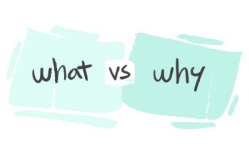 "What" vs. "Why" in the English Grammar | LanGeek