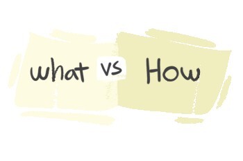 "What" vs. "How" in the English Grammar | LanGeek