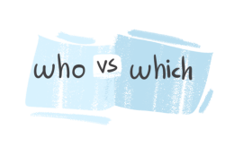 "Which" vs. "Whose" in the English Grammar | LanGeek