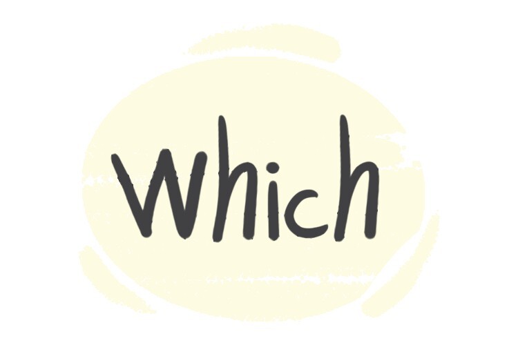 How to Use "Which" in the English Grammar | LanGeek