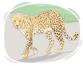 English Words for "Animals" | B2 Vocabulary | LanGeek