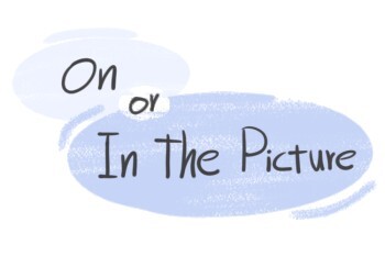 "On" or "In The Picture" in the English grammar | LanGeek