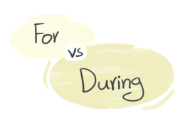 "For" vs. "Because" in the English grammar | LanGeek