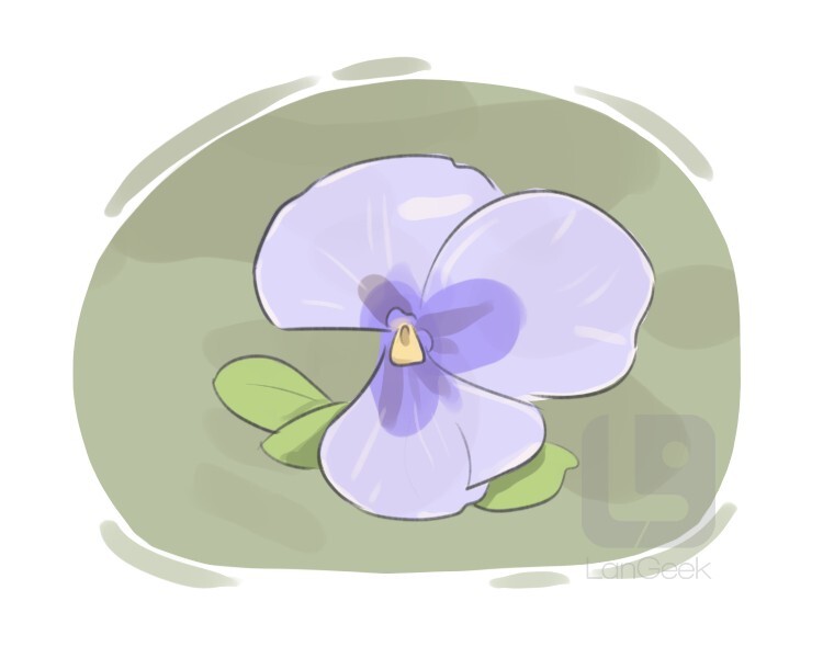 Definition & Meaning of "Violet" | LanGeek