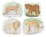 English Words for "Animals" | C1 Vocabulary | LanGeek