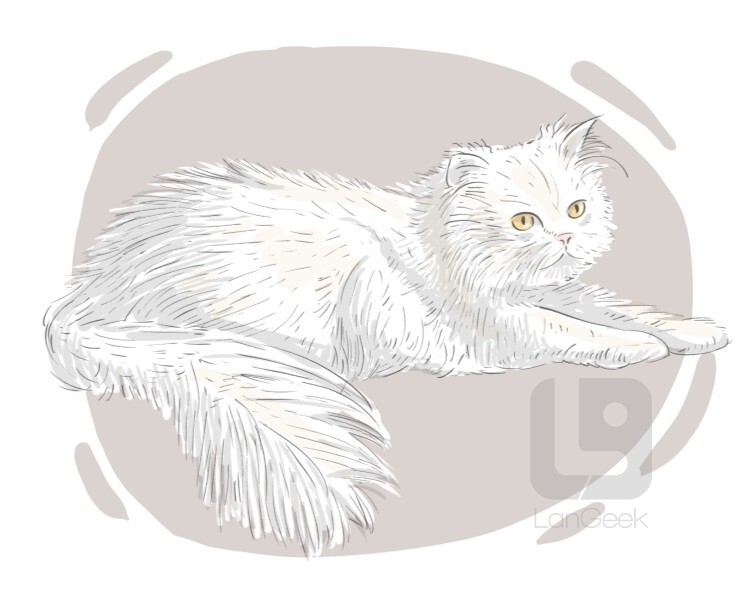 Definition & Meaning of "Angora" | LanGeek