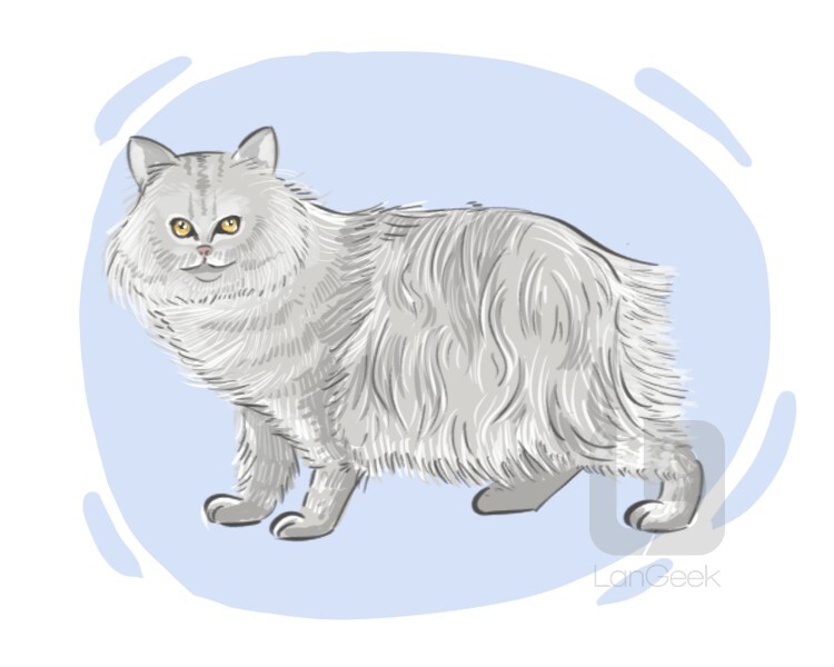 Definition & Meaning of "Cymric" | LanGeek
